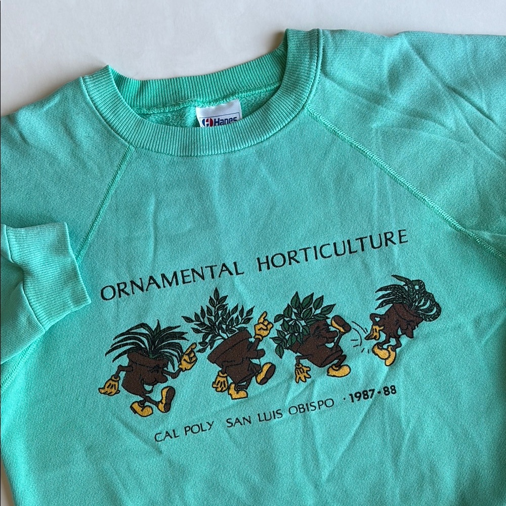 Rare Vintage 80’s Hanes Cal Poly Slo Sweatshirt Plant… - Gem